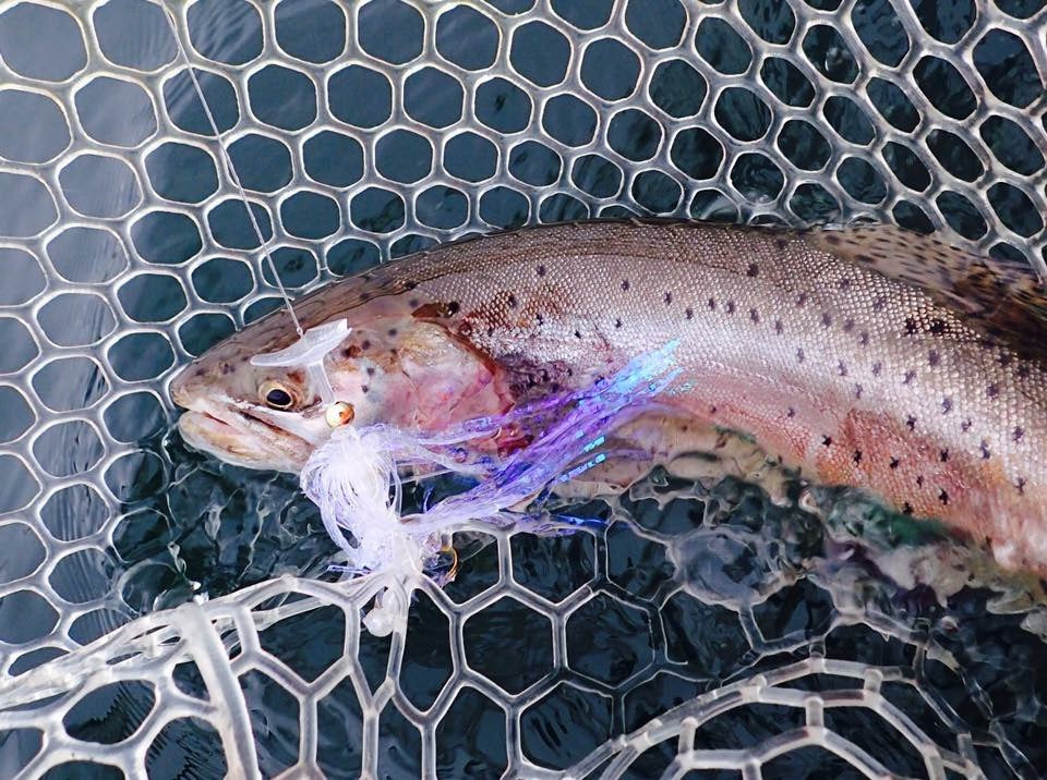 Trolling fishing gear rigged & unrigged for Kokanee Trout Kamloop ...
